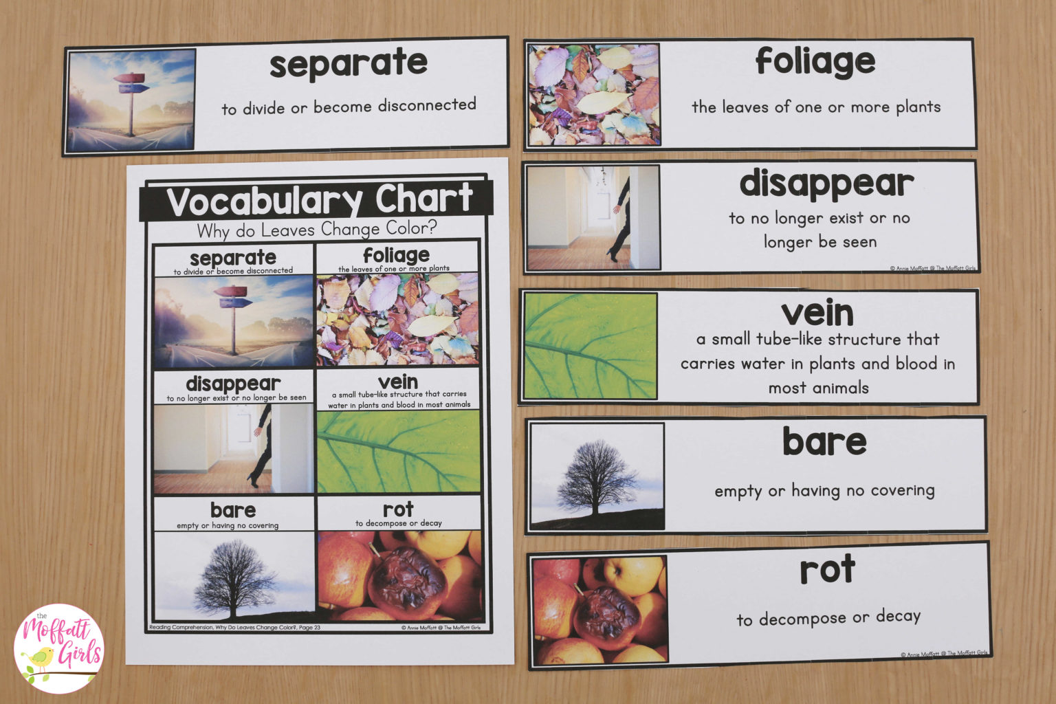 First Grade Reading Comprehension Quarter 1 1403
